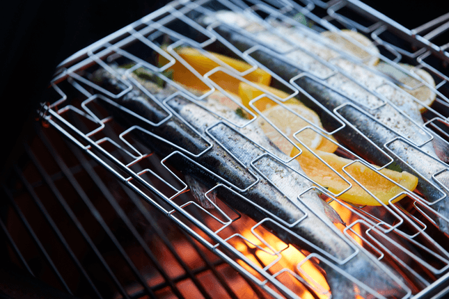 Flexible grill | PV-BBQ-0218 | LivWise